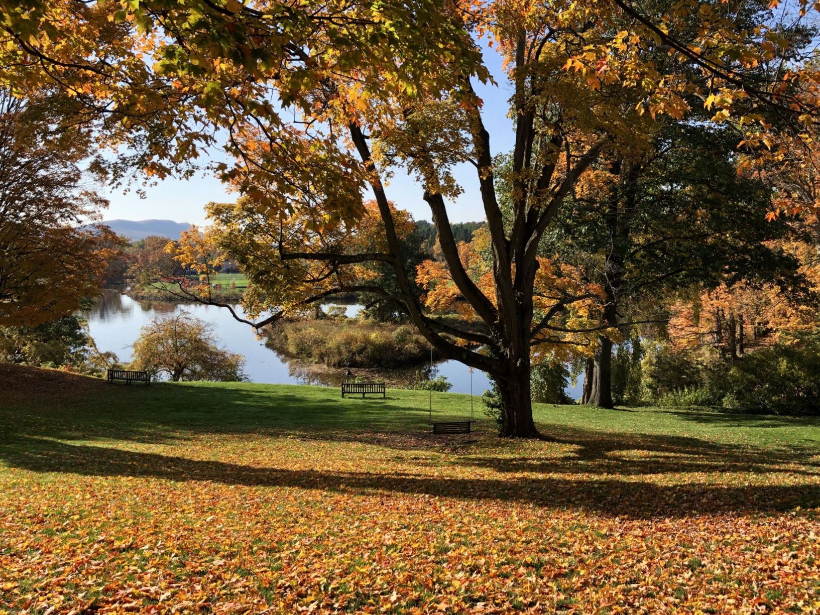 Garden Explorer | The Botanic Garden of Smith College